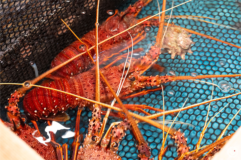 Reel in the Fun: Dining and Fishing Blend at ZAUO Fishing Restaurant ...