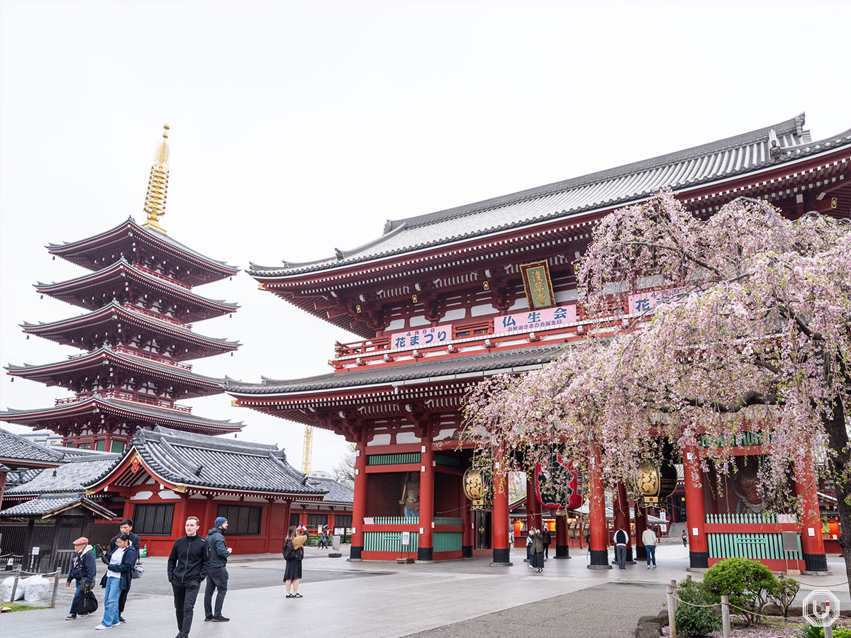 Asakusa tourist attractions 60 photos - Grandioseship.com